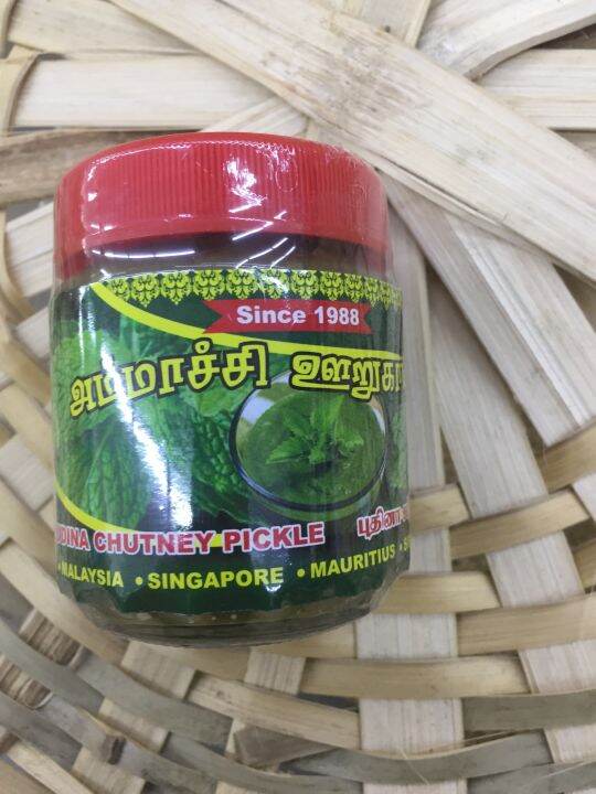 Ammachi Pudina Chutney Pickles 170g | Lazada