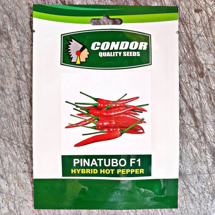PINATUBO F1 HYBRID HOT PEPPER / CHILI / SILING LABUYO SEEDS (0.5 GRAMS ...