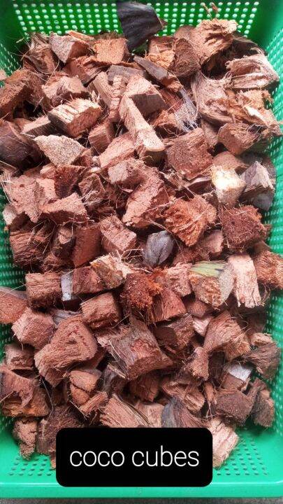 Coco Cubes for Plants 100grams | Lazada PH