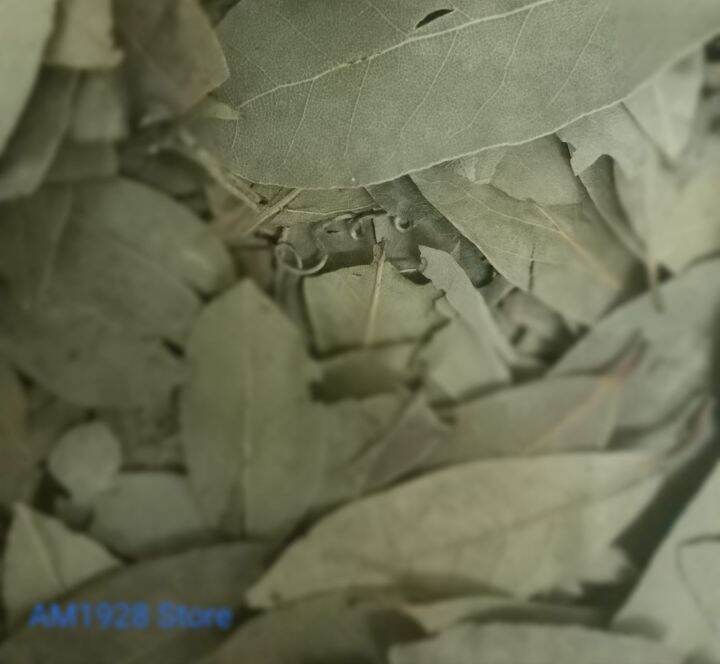 Dried Laurel Leaves per pack 30grams | Lazada PH