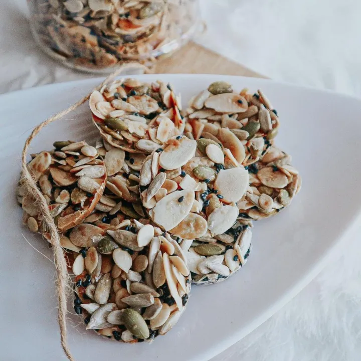 Florentine Cookies | Lazada