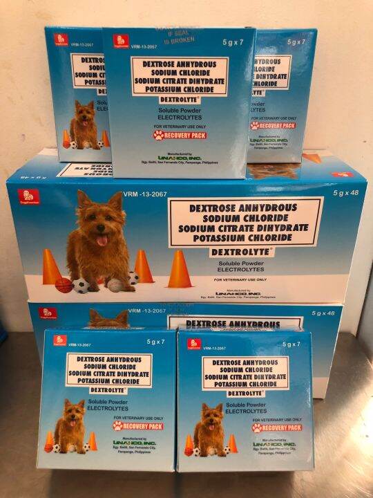 Dextrolyte | Lazada PH