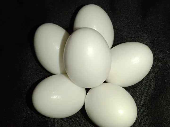 telur merpati palsu. | Lazada Indonesia