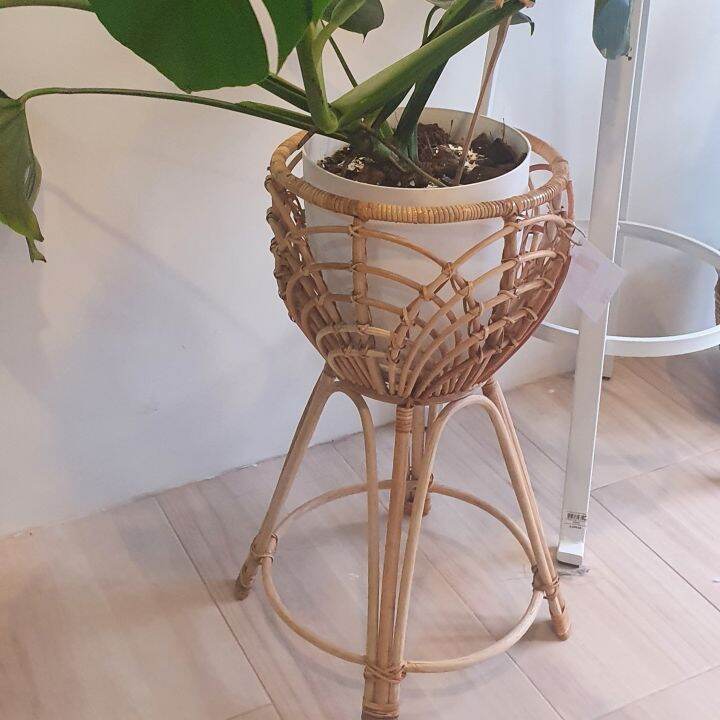 casa.apollo Platinum Elite rattan plant stand | Lazada PH