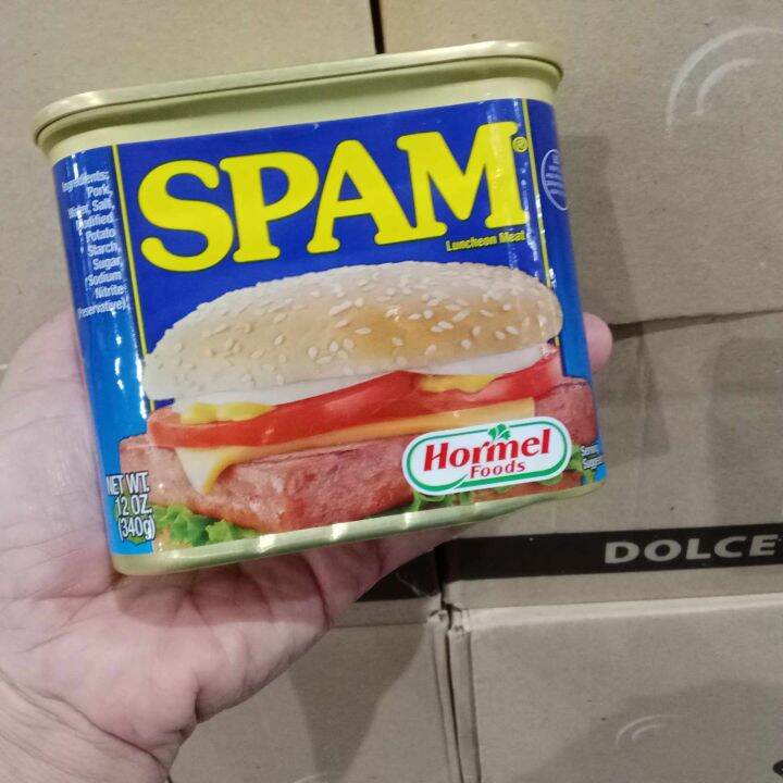 SPAM luncheon meat 340g | Lazada PH