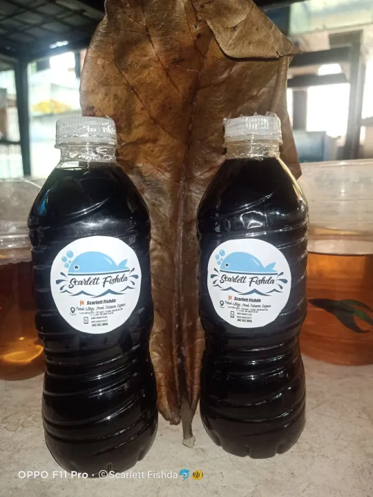 Talisay Extract with freebies | Lazada PH