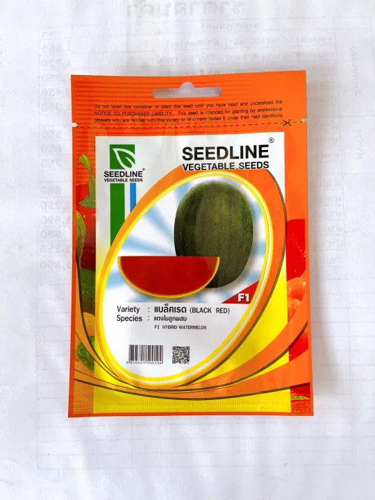 เมล็ดพันธุ์ เมล็ดแตงโม แตงโมแบล็คเรด แตงโมแดง ตราseedline ซองเล็ก | Lazada.co.th