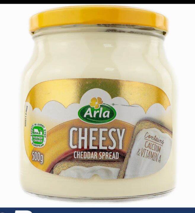 ARLA CHEESY CHEDDAR SPREAD 500g | Lazada PH