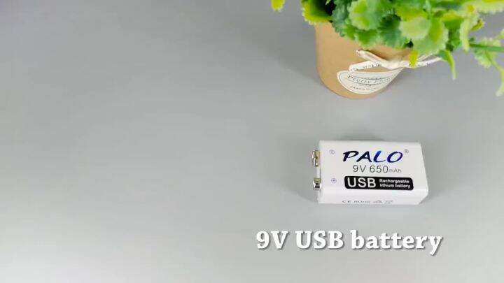 rechargeable battery, krone battery, PALO charger, 9 V, 650 mAh, micro USB, 9 V, 6F22 lithium ...