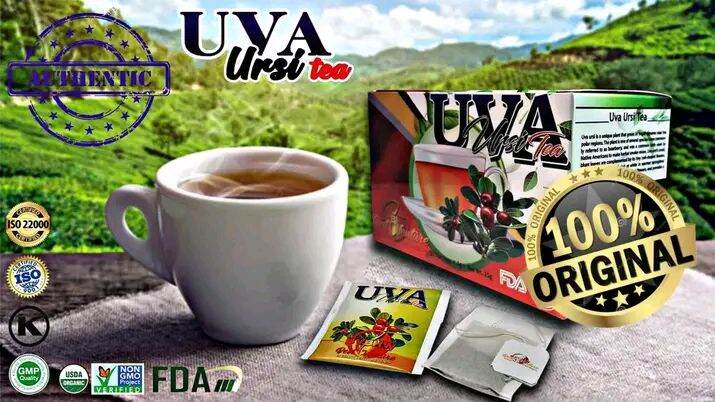 Uva Ursi Tea ORIGINAL (Direct Supplier) | Lazada PH