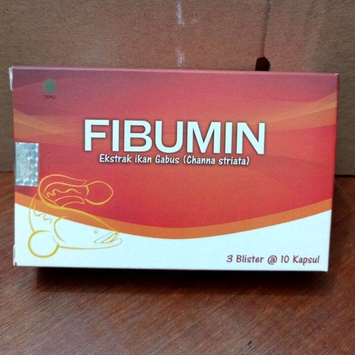 fibumin channa striata ekstrak ikan gabus 500mg [1 box 30 kapsul ...