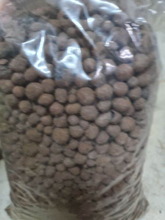 Leca Ball 10mm Clear Stock 4L Per Pack | Lazada