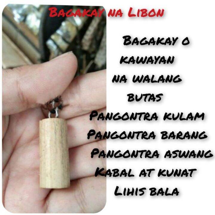 kawayan/ bAgakay na walang butas o libon | Lazada PH