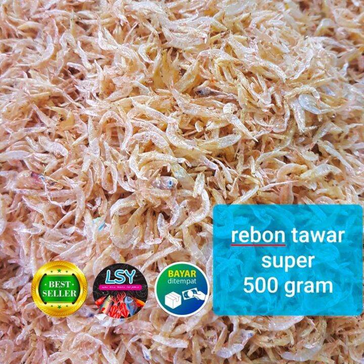 ikan asin rebon tawar super 500gr | Lazada Indonesia