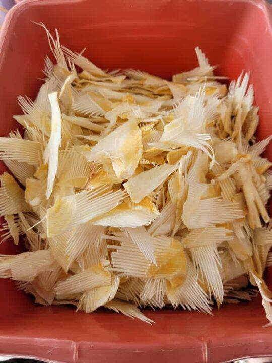 Shark Fin Bone / 精选鲨鱼骨 [READY STOCK] | Lazada