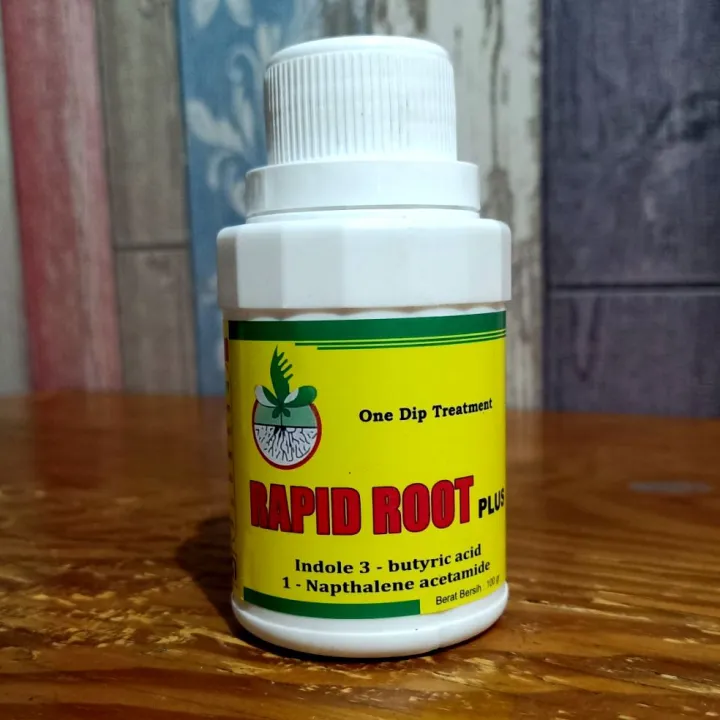 RAPID ROOT PLUS ZPT 100gr, Hormon Penumbuh Akar. | Lazada Indonesia