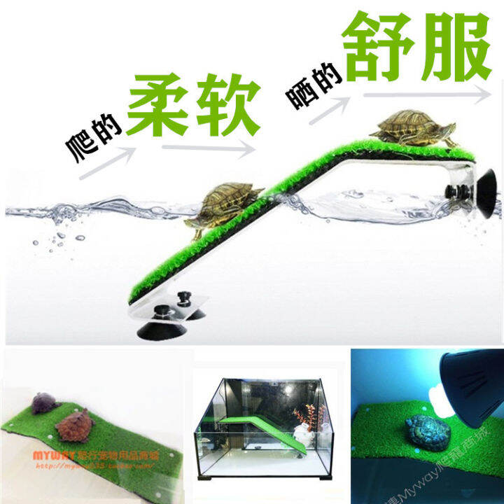 Turtle Brazil Turtle Drying Platform Climbing Platform Climbing Ladder ...