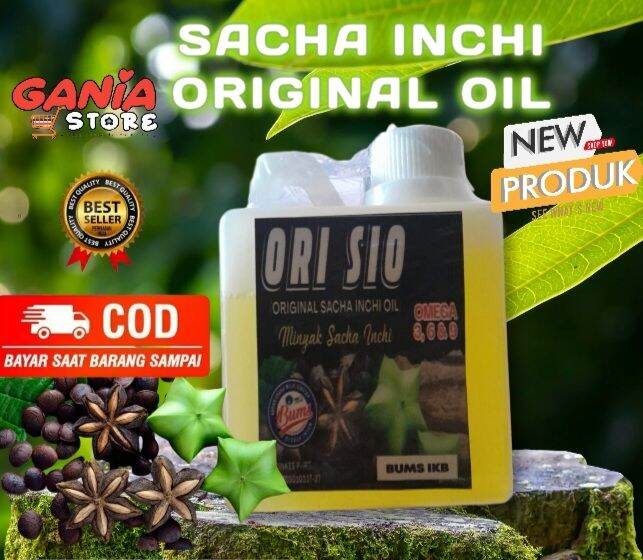 minyak SACHA INCHI ORIGINAL OIL kemasan 500 ml | Lazada Indonesia