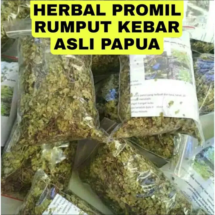 Herbal Rumput Kebar 100% Asli Papua 100gram | Lazada Indonesia