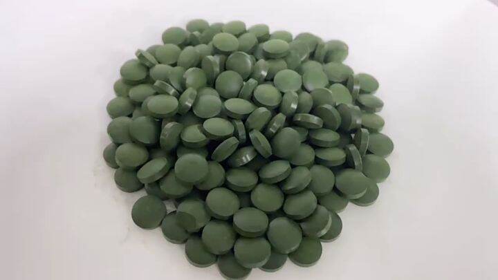 100/200/500Pcs Spirulina Tablets Fish Food Algae Tablets for Fishes ...