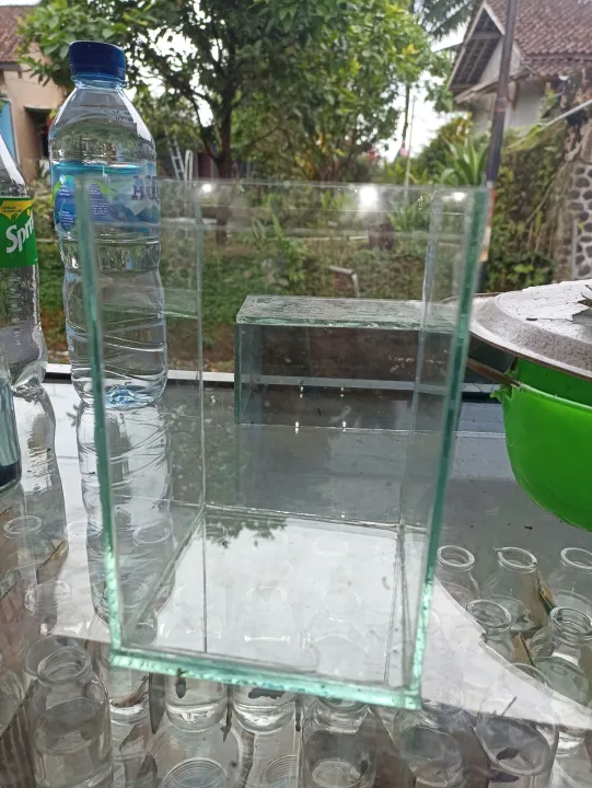 soliter ikan cupang ukuran 10x10x15 | Lazada Indonesia