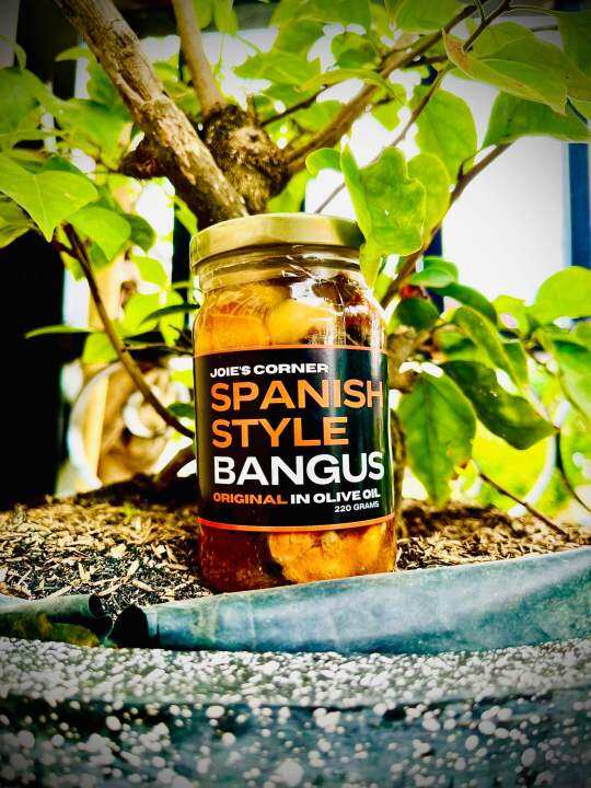 Spanish Bangus Sardines In Olive Oil Lazada Ph