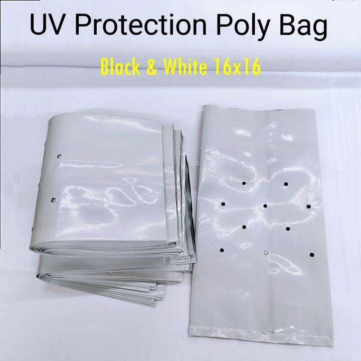 Poli beg hitam & putih UV Protection poly bag/ Nursery plantation ...