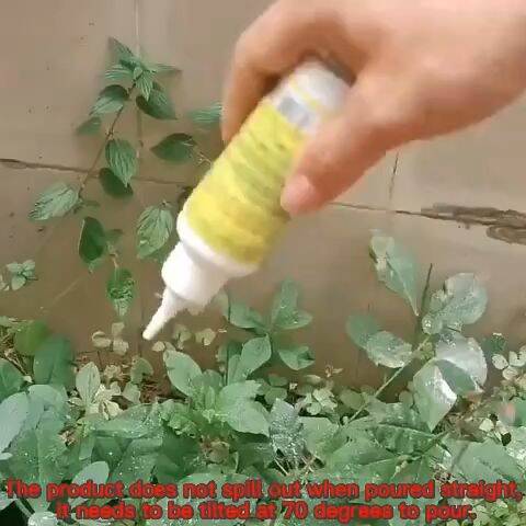 One infected whole nest died termite killer powder (ANAY)75g bait ...