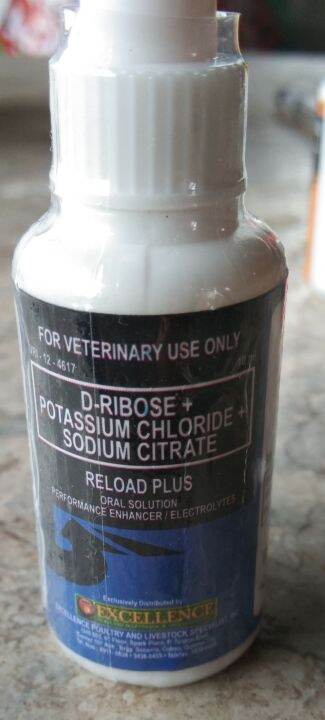 RELOAD PLUS FOR PIGEON RACING | Lazada PH