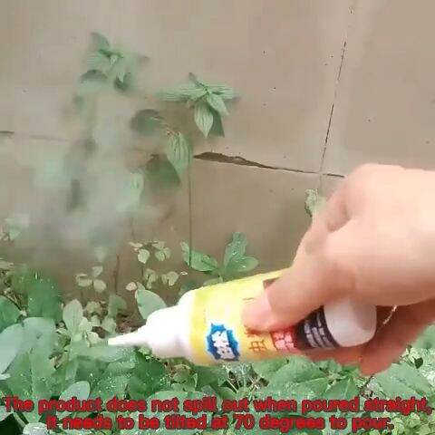 Termites Killer Solution Powder 75g Termite Killing Powder Anti Termite ...