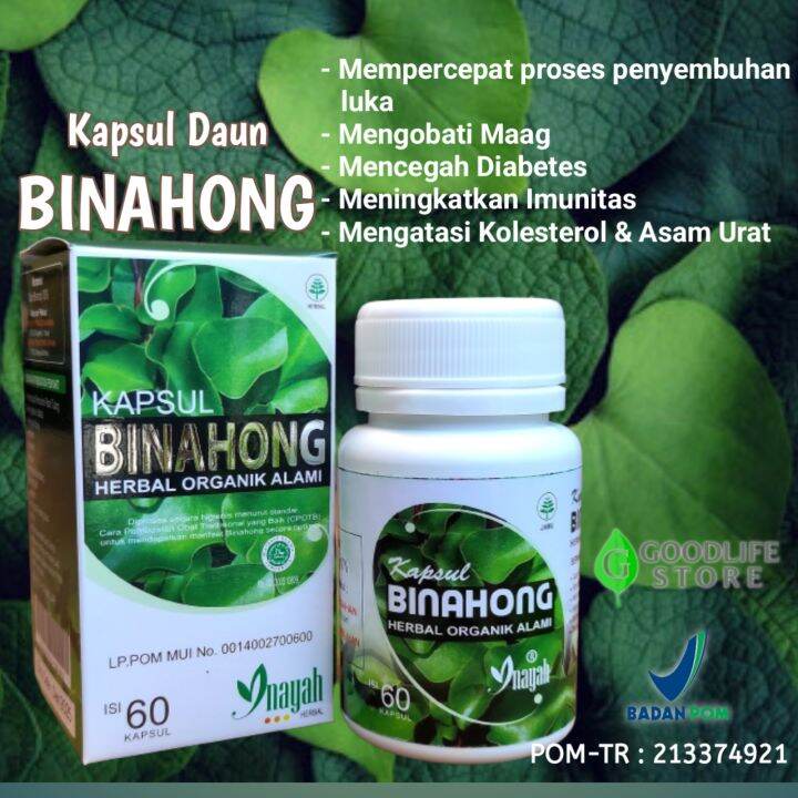 Kapsul Daun Binahong Inayah Herbal BPOM isi 60 | Lazada Indonesia