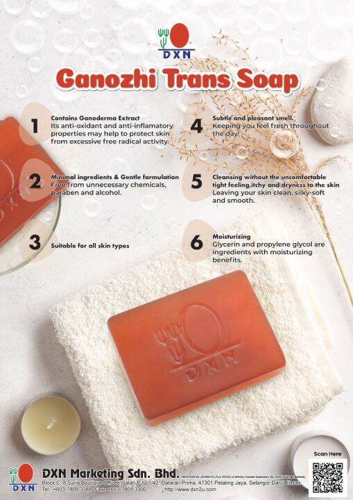 DXN Ganozhi Trans Soap | Lazada