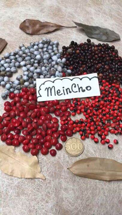 (100gr/350biji) Kerajinan Kolase Biji Saga Merah Hitam Saga Telik Jali ...