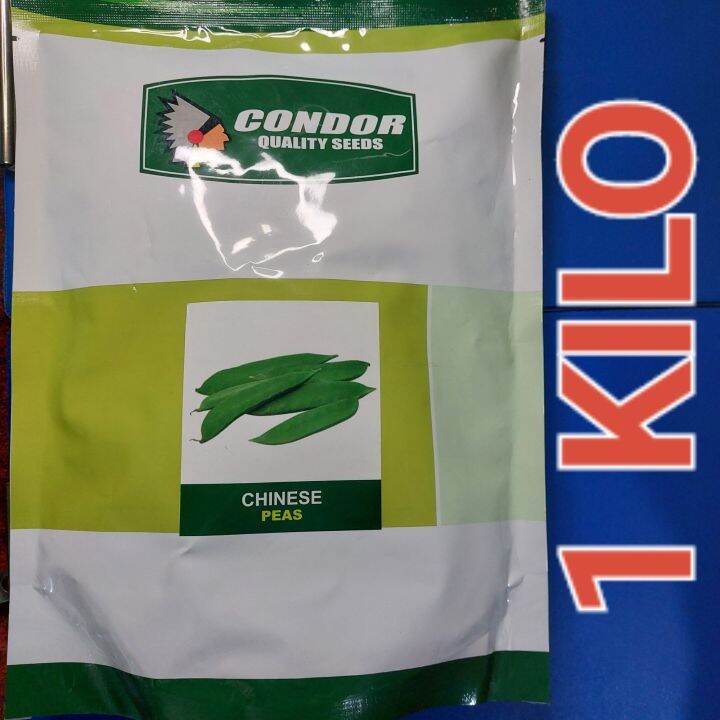 CHINESE PEAS SEEDS (1 KILO) SITSARO SEEDS BY CONDOR | Lazada PH