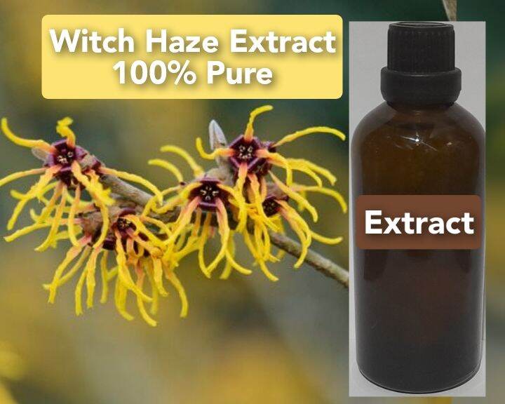 Witch Hazel Extract 100%pure/100ml Waterbased/Oilbased | Lazada PH