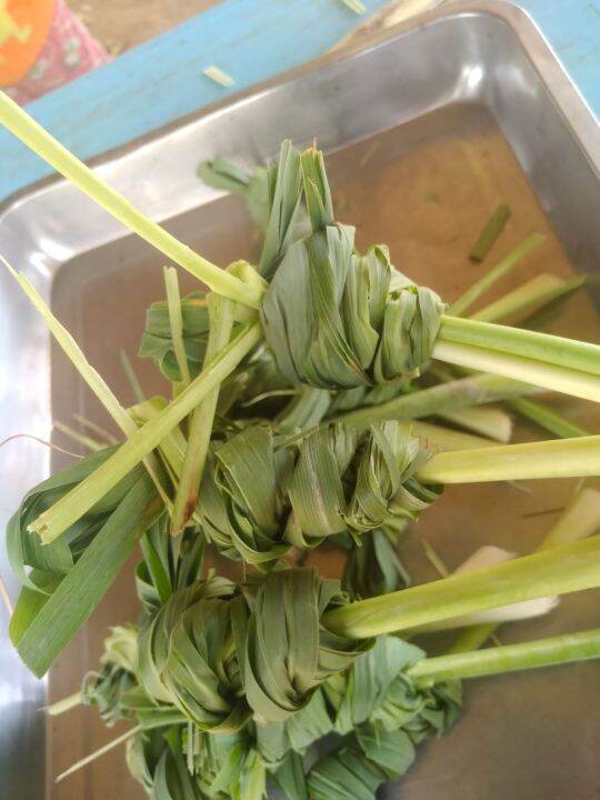 TANGLAD / LEMON GRASS PANG LUTO FOR COOKING 12pcs. BIGKIS | Lazada PH