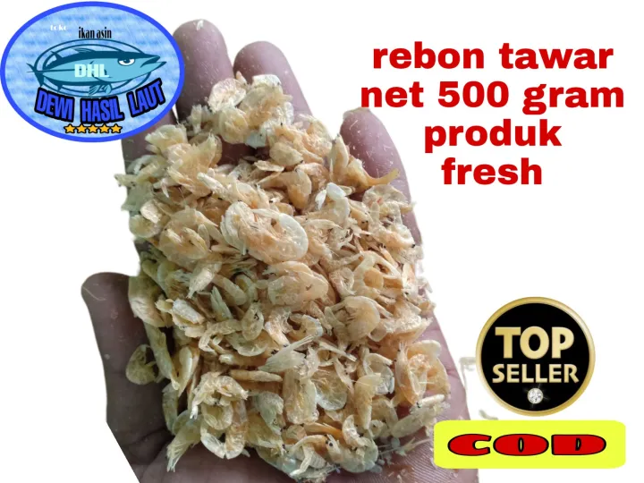 ikan asin rebon tawar 500 gram | Lazada Indonesia