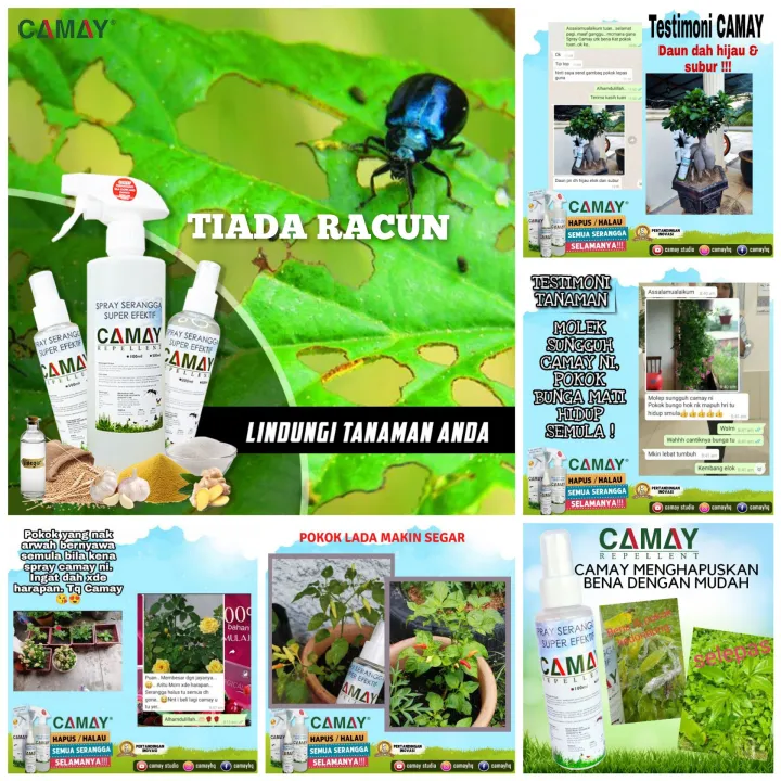 CAMAY REPELLENT SPRAY ORGANIK HAPUS SERANGGA PEROSAK TANAMAN, ULAT DAUN ...