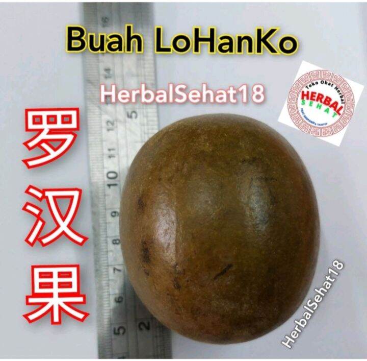 Lo Han Kuo Buah Kering 1 Buah Luohanguo Lohanko LaoHanko | Lazada Indonesia