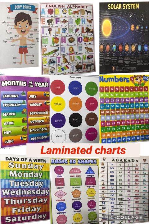 Educational Laminated Chart (10 charts) | Lazada PH