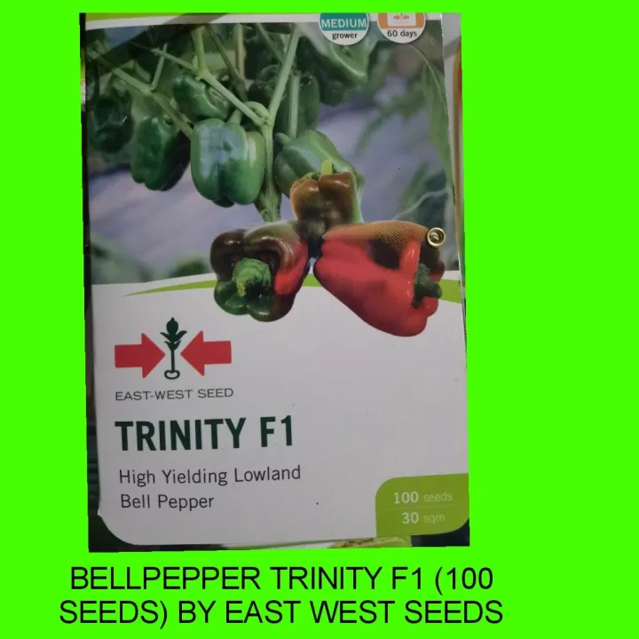 BELLPEPPER TRINITY F1 (100 SEEDS) BY EAST WEST SEEDS | Lazada PH