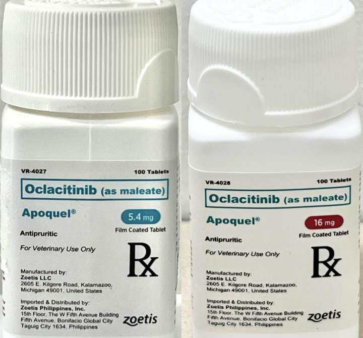 Apoquel Tablets for Dogs 5.4 mg 16 mg | Lazada PH