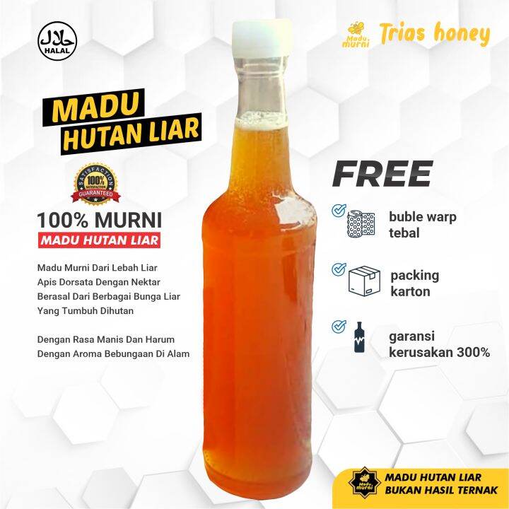 Madu Hutan Super /Madu Tawon Gung. Madu hutan indonesia. Madu murni ...