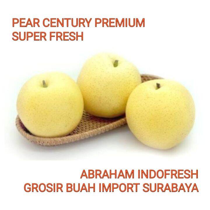 pear century 1 kg 1000grm ukuran 60 buah segar abraham indofresh grosir ...