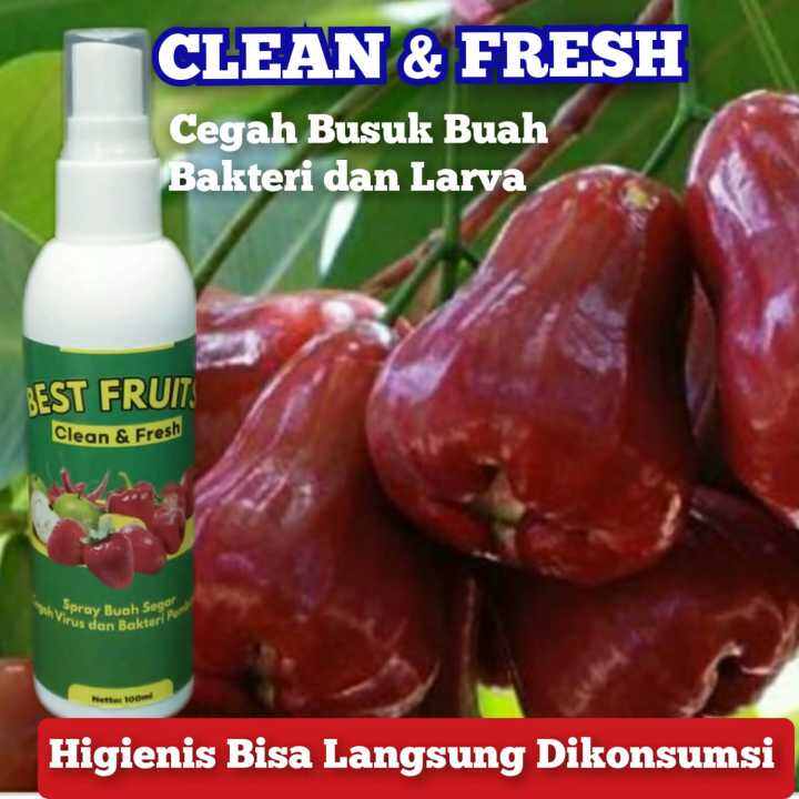 Spray Anti Busuk Buah Segar dan Sayur Clean & Fresh | Lazada Indonesia