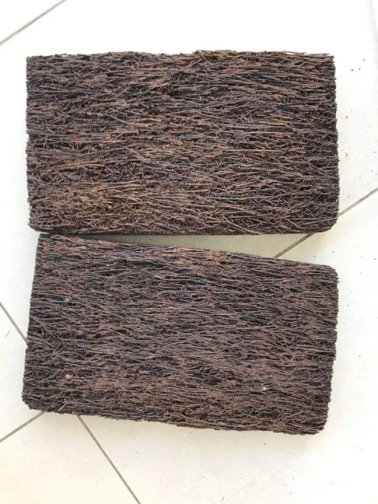 1 Piece Fresh Fern Slab | Lazada PH
