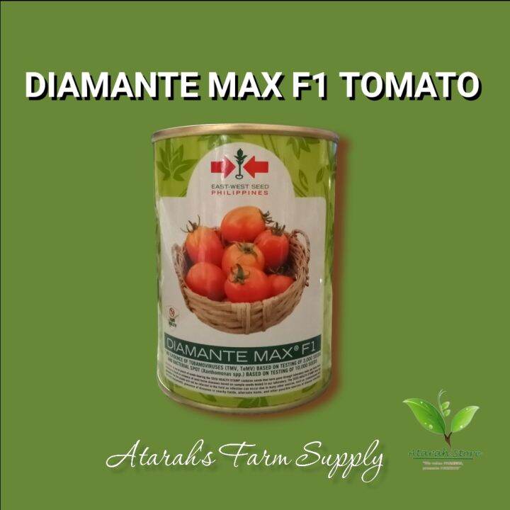DIAMANTE MAX F1 (25gms) Tomato East West Seeds | Lazada PH