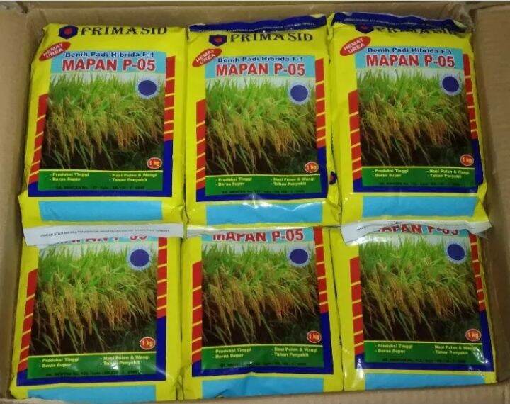 Benih Bibit Padi Hibrida MAPAN 05 Primasid 1 kg | Lazada Indonesia