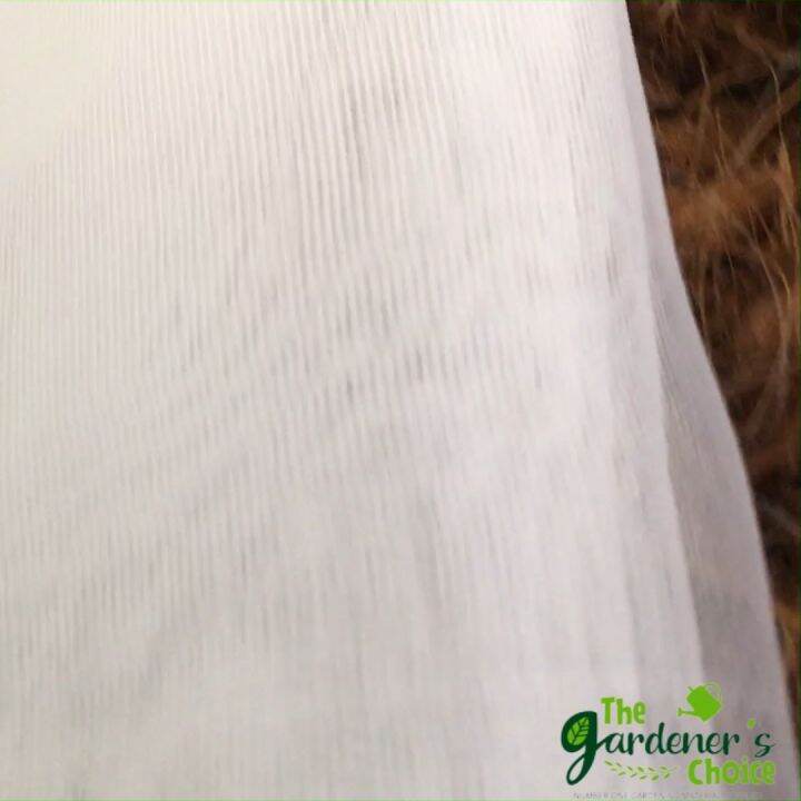 FINE MESH INSECT NET 5FT BY 1 METER / GARDEN NET / INSECT NET/ THE ...