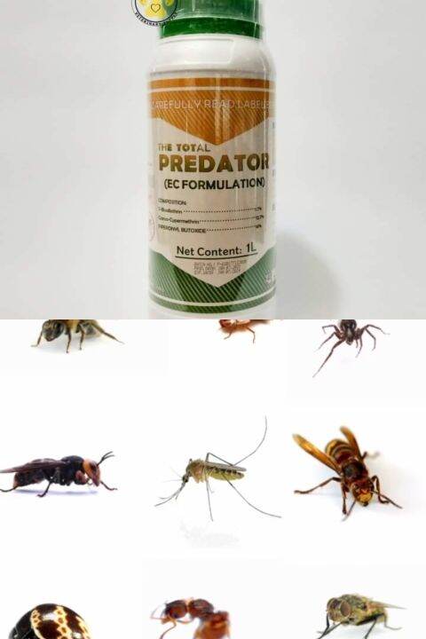 predator Insecteside 1liter | Lazada PH